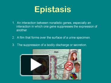 Epistasis presentation | free to view