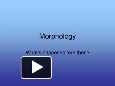 Morphology presentation | free to download