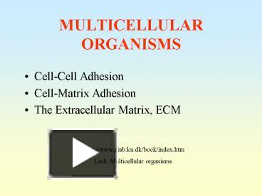 MULTICELLULAR ORGANISMS presentation | free to view