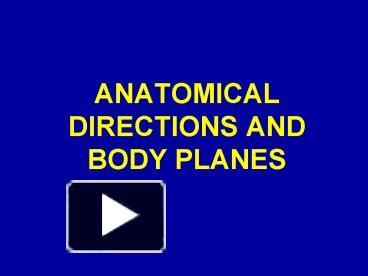 ANATOMICAL DIRECTIONS AND BODY PLANES presentation | free to view