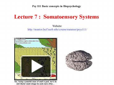 PPT – Sensory systems PowerPoint presentation | free to view - id ...