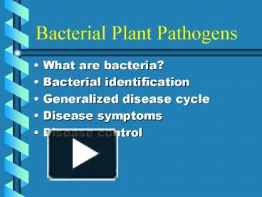Bacterial Plant Pathogens presentation | free to view