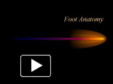 Foot Anatomy presentation | free to view