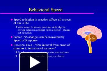 Behavioral Speed presentation | free to view