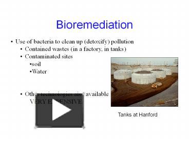 Bioremediation presentation | free to download