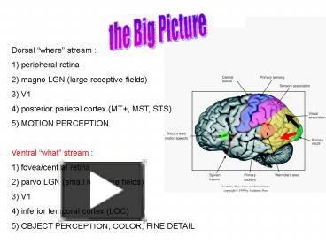 the Big Picture presentation | free to view
