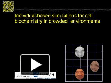 Individualbased simulations for cell biochemistry in crowded ...