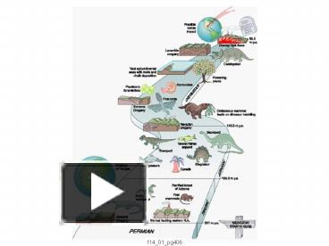 PPT – f14_01_pg406 PowerPoint presentation | free to download - id ...