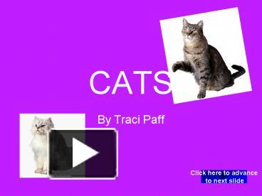 CATS presentation | free to view