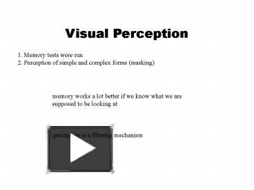 Visual Perception presentation | free to view