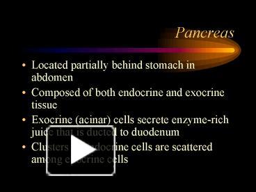 PPT – Pancreas PowerPoint presentation | free to view - id: 1055d9-ZDc1Z