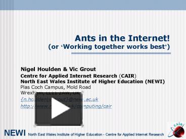 PPT – Ants in the Internet! (or PowerPoint presentation | free to ...