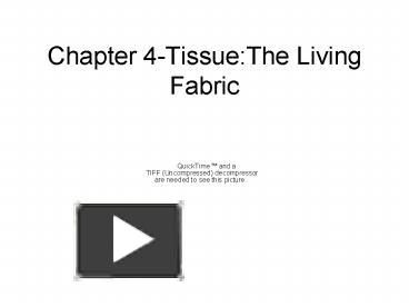 PPT – Chapter 4Tissue:The Living Fabric PowerPoint presentation | free ...