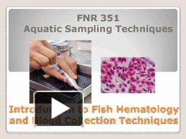 Introduction to Fish Hematology and Blood Collection Techniques ...