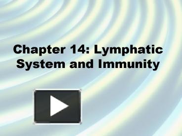 PPT – Chapter 14: Lymphatic System and Immunity PowerPoint presentation ...