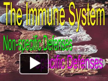 PPT – The Immune System PowerPoint presentation | free to view - id ...