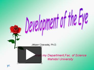 Development of the Eye presentation | free to view