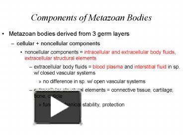 Components of Metazoan Bodies presentation | free to view