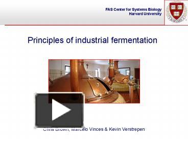 Principles of industrial fermentation presentation | free to view