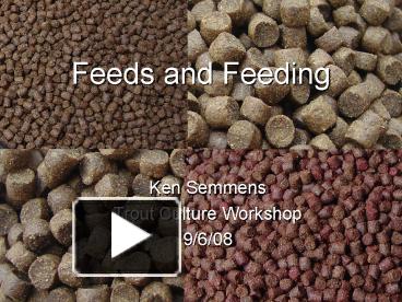 Feeds and Feeding presentation | free to view