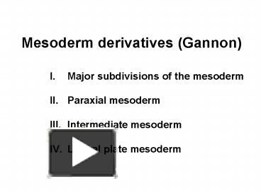 Mesoderm derivatives Gannon presentation | free to view