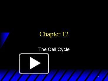 PPT – The Cell Cycle PowerPoint presentation | free to view - id ...