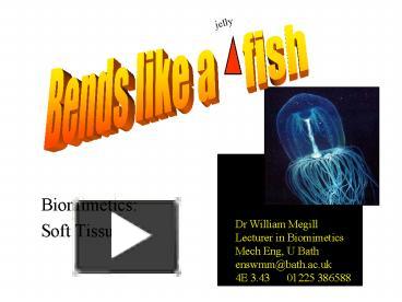 PPT – Biomimetics: PowerPoint presentation | free to view - id: 10d2a2 ...