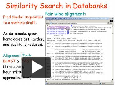 PPT – Similarity Search in Databanks PowerPoint presentation | free to ...