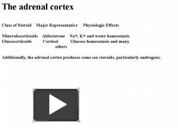 PPT – The adrenal cortex PowerPoint presentation | free to view - id ...