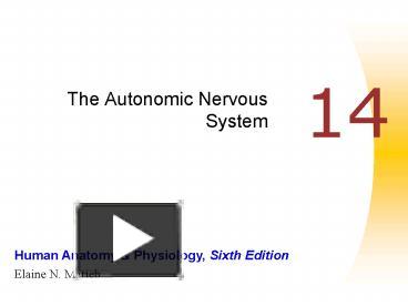 The Autonomic Nervous System presentation | free to view