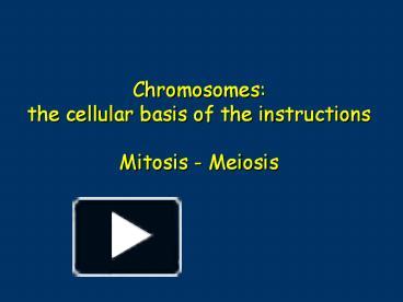 PPT – Chromosomes: the cellular basis of the instructions Mitosis ...
