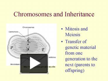 PPT – Chromosomes and Inheritance PowerPoint presentation | free to ...