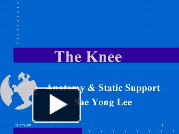 PPT – The Knee PowerPoint presentation | free to view - id: 10fe32-NjAwZ