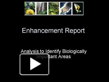 Enhancement Report presentation | free to view