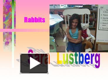 Rabbits presentation | free to view