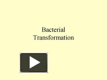 Bacterial Transformation presentation | free to view