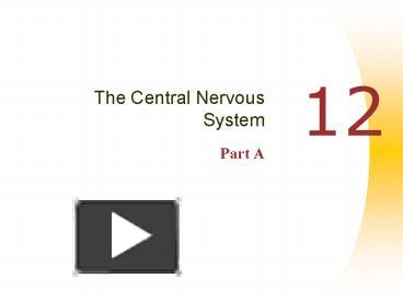 The Central Nervous System presentation | free to view