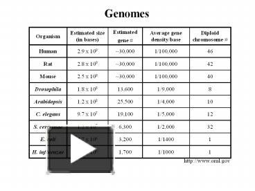 PPT – Genomes PowerPoint presentation | free to download - id: 1141f7-ZTM5O