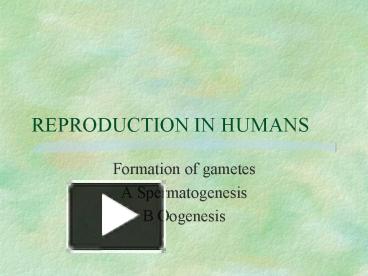 PPT – REPRODUCTION IN HUMANS PowerPoint presentation | free to view ...
