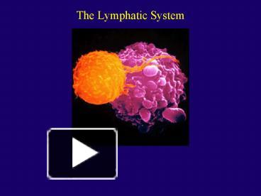 PPT – The Lymphatic System PowerPoint presentation | free to view - id ...