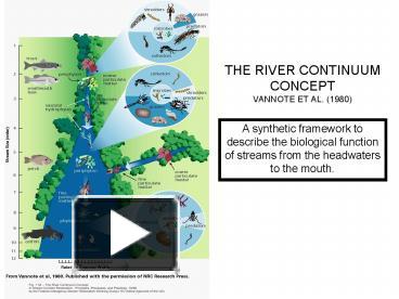 THE RIVER CONTINUUM CONCEPT presentation | free to view