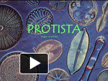 PPT – PROTISTA PowerPoint presentation | free to view - id: 115ff8-NzJkM