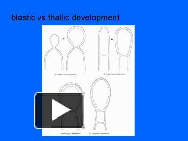 blastic vs thallic development presentation | free to view