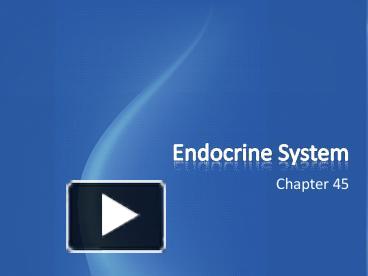 PPT – Endocrine System PowerPoint presentation | free to view - id ...