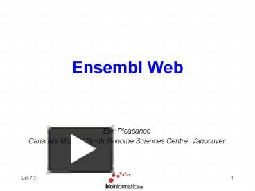 PPT – Ensembl Web PowerPoint presentation | free to view - id: 11735f-MjgzO