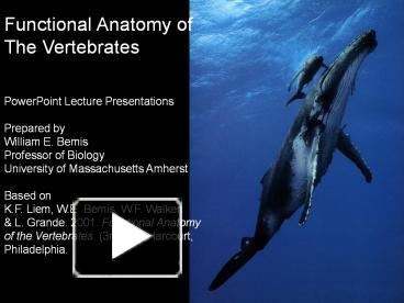 Functional Anatomy of presentation | free to view