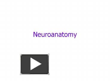 PPT – Neuroanatomy PowerPoint presentation | free to view - id: 11757a ...