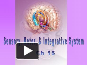 PPT – Sensory, Motor, PowerPoint presentation | free to download - id ...