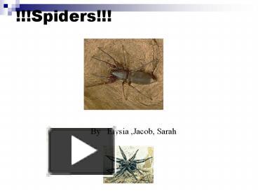 Spiders presentation | free to view