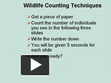 PPT – Wildlife Counting Techniques PowerPoint presentation | free to ...